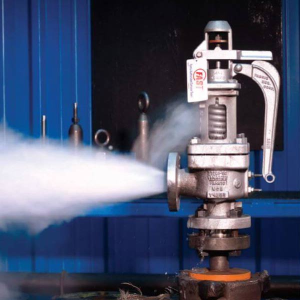 Pressure Safety Valve Maintenance & Calibration - Cakasa Maintenance Services Ltd (CMSL)